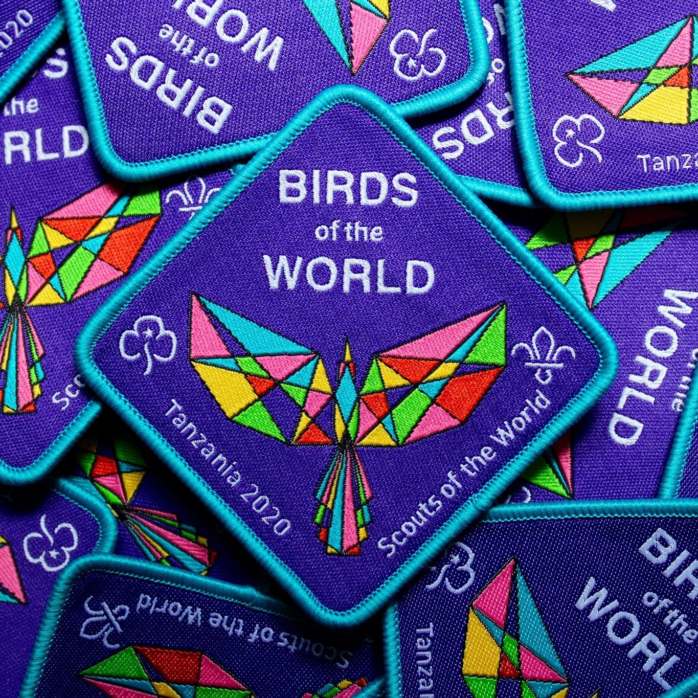 From Birds to Bugs: Chloe's back bringing nature to the Scouts ...