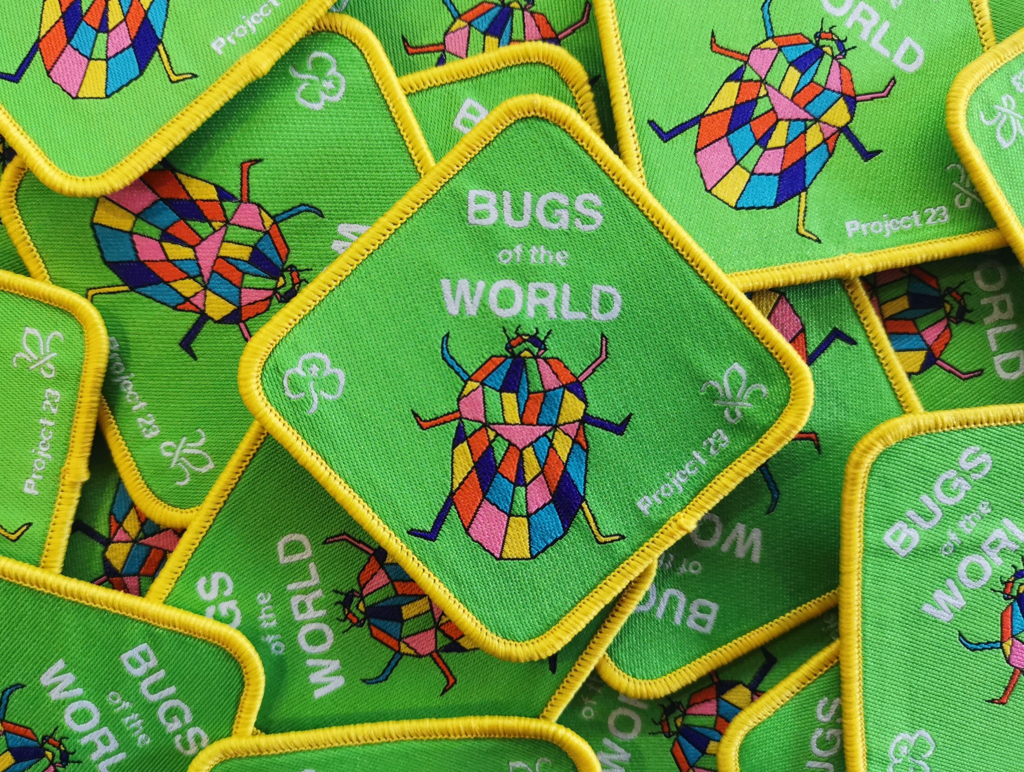 From Birds to Bugs: Chloe's back bringing nature to the Scouts ...